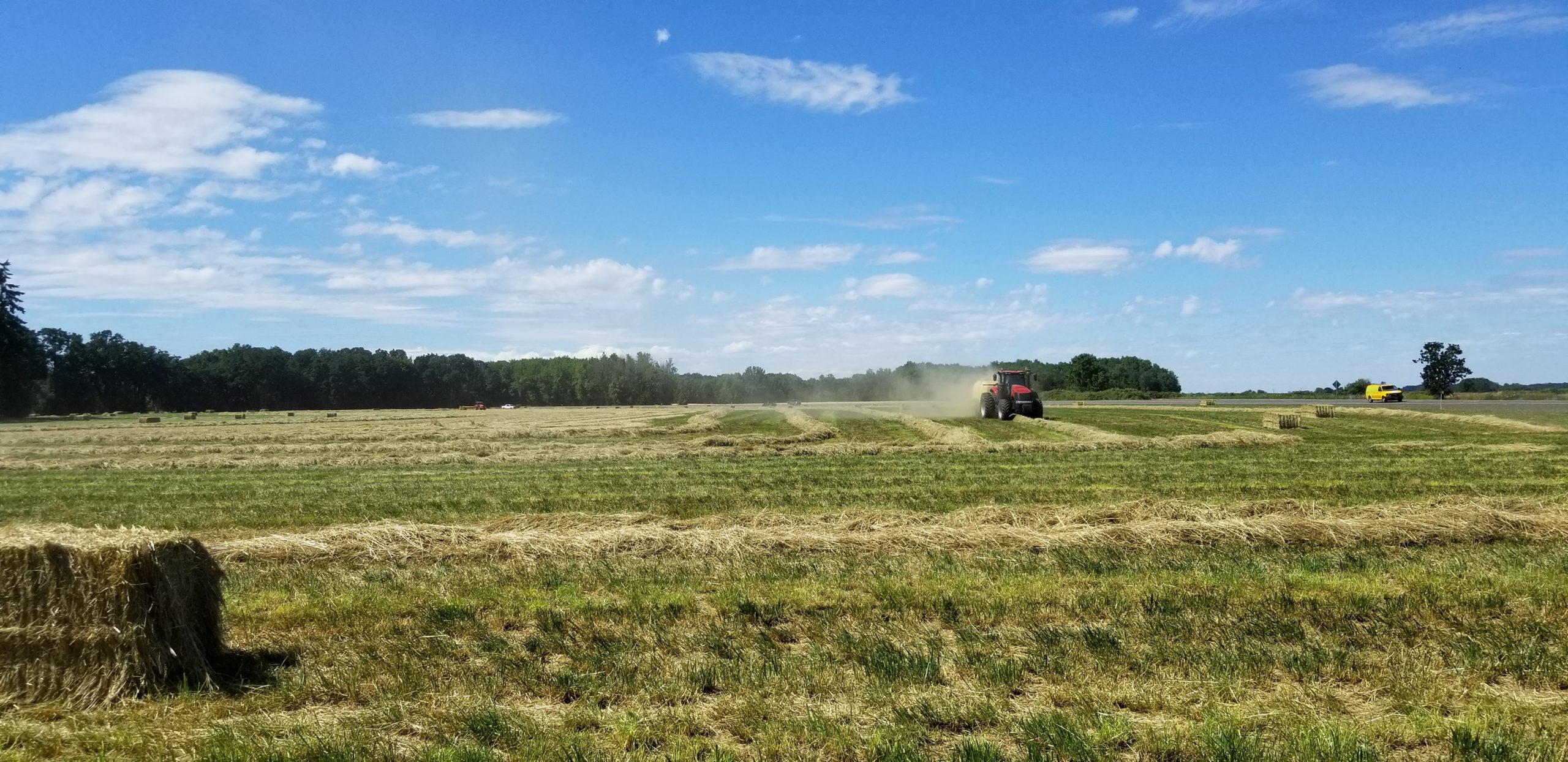 Mediterrán Garden – West Coast Hay Management