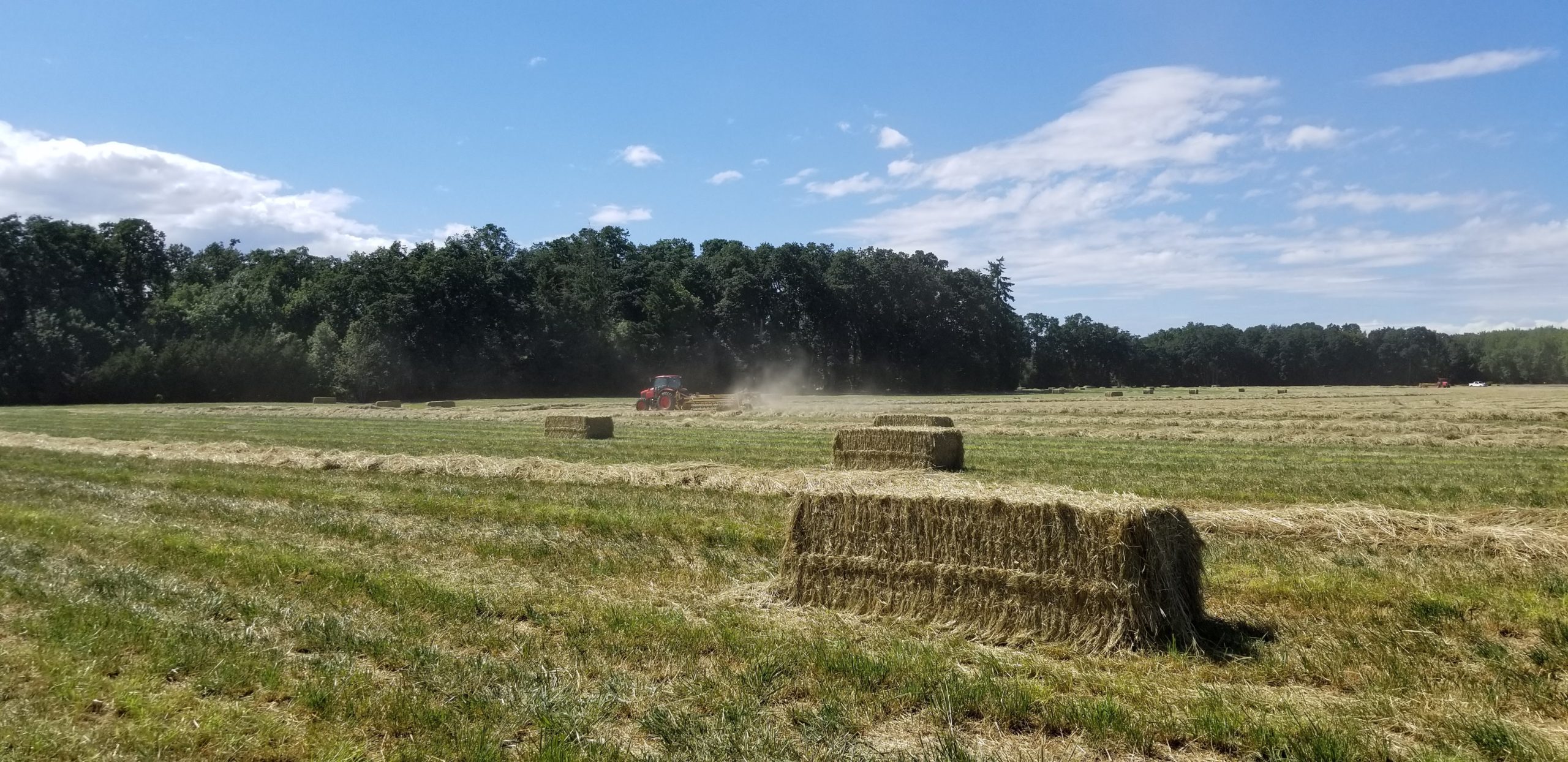 Mediterrán Garden – West Coast Hay Management